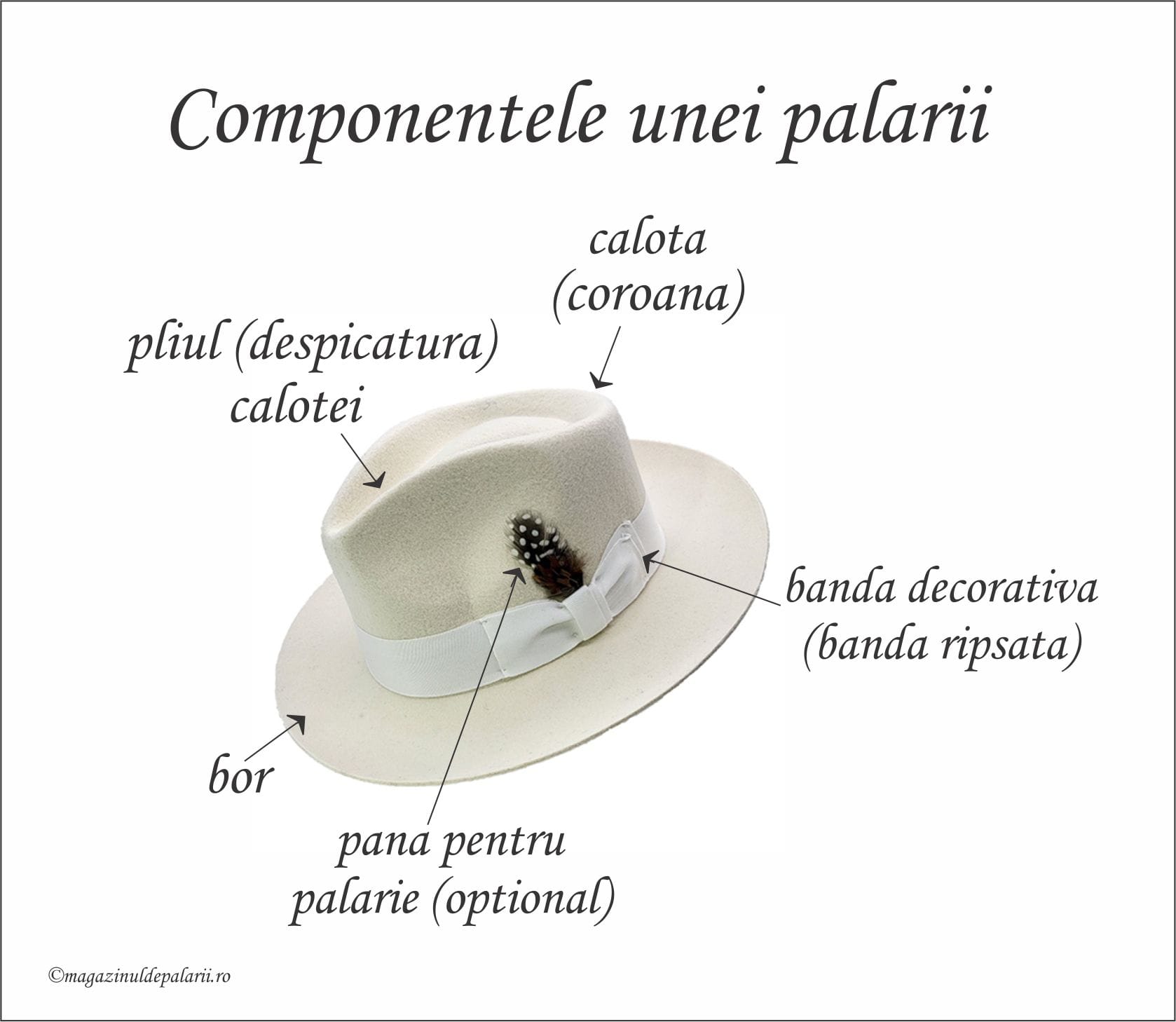 Componentele unei palarii